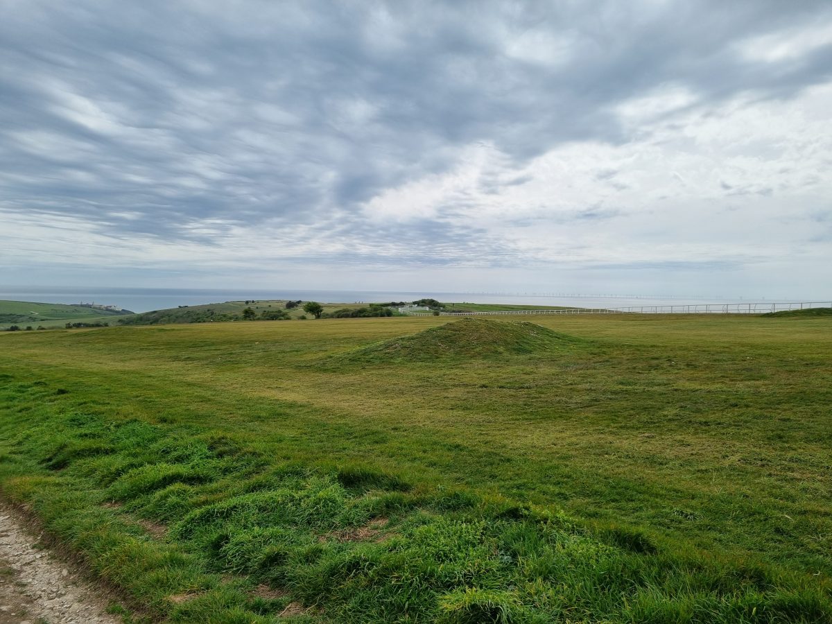 Dog Walk in Sheepcote Valley, Brighton